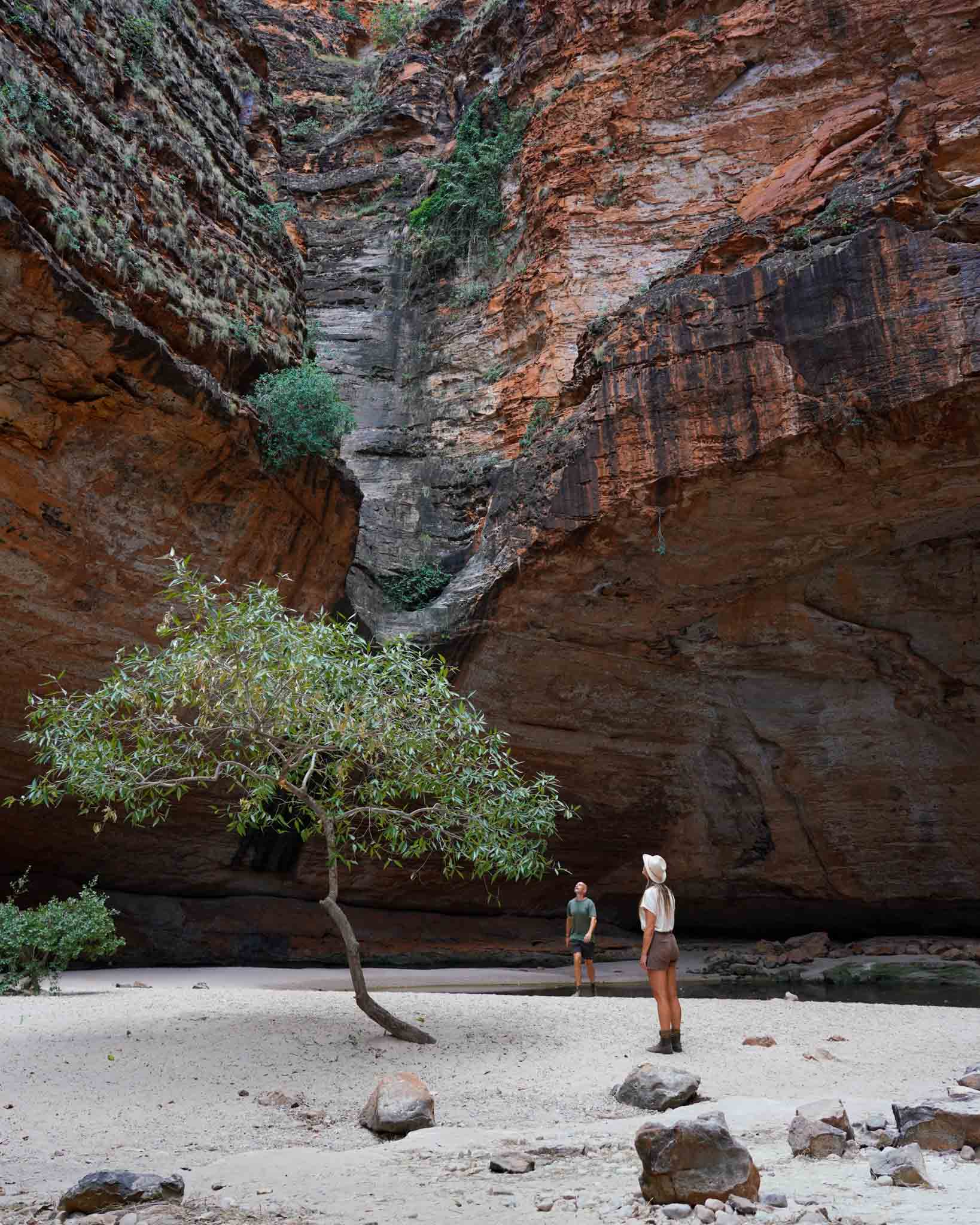 15 Surprising Facts about the Bungle Bungles most travellers don't know